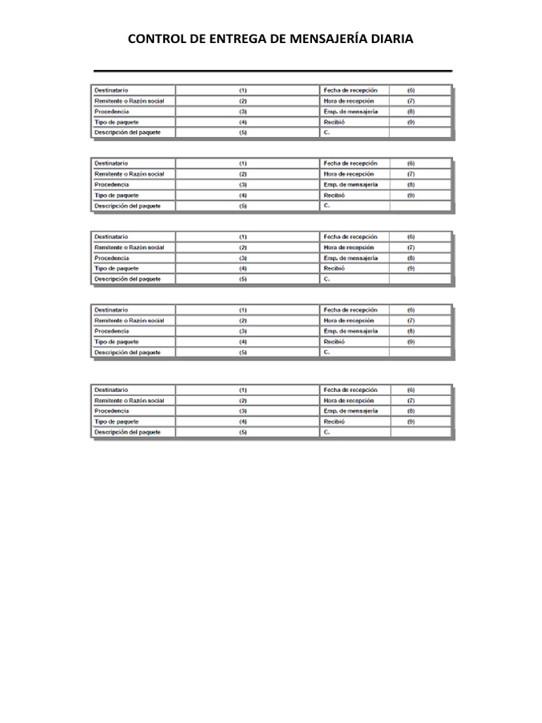 Formato Control de Entregas Diarias | PDF