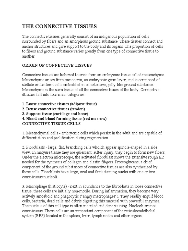Connective Tissues | PDF | Connective Tissue | Cartilage