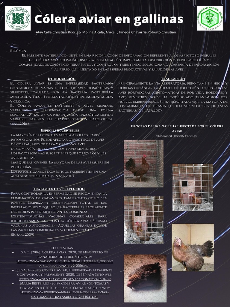 Cólera Aviar en Gallinas PDF | PDF | Enfermedades animales | Salud pública
