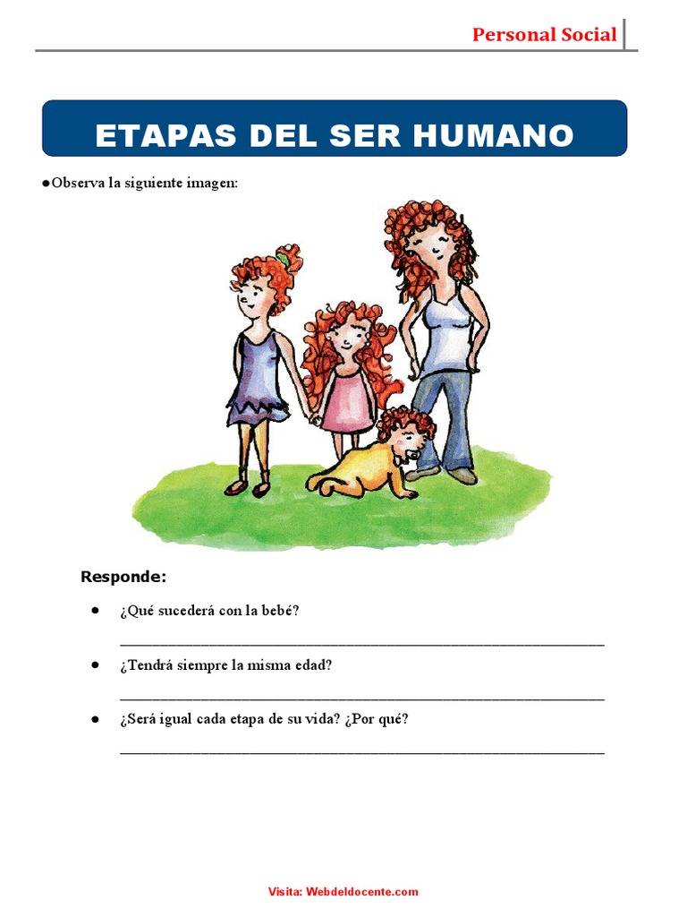 Ficha Etapas de La Vida | PDF | Envejecimiento | Adultos