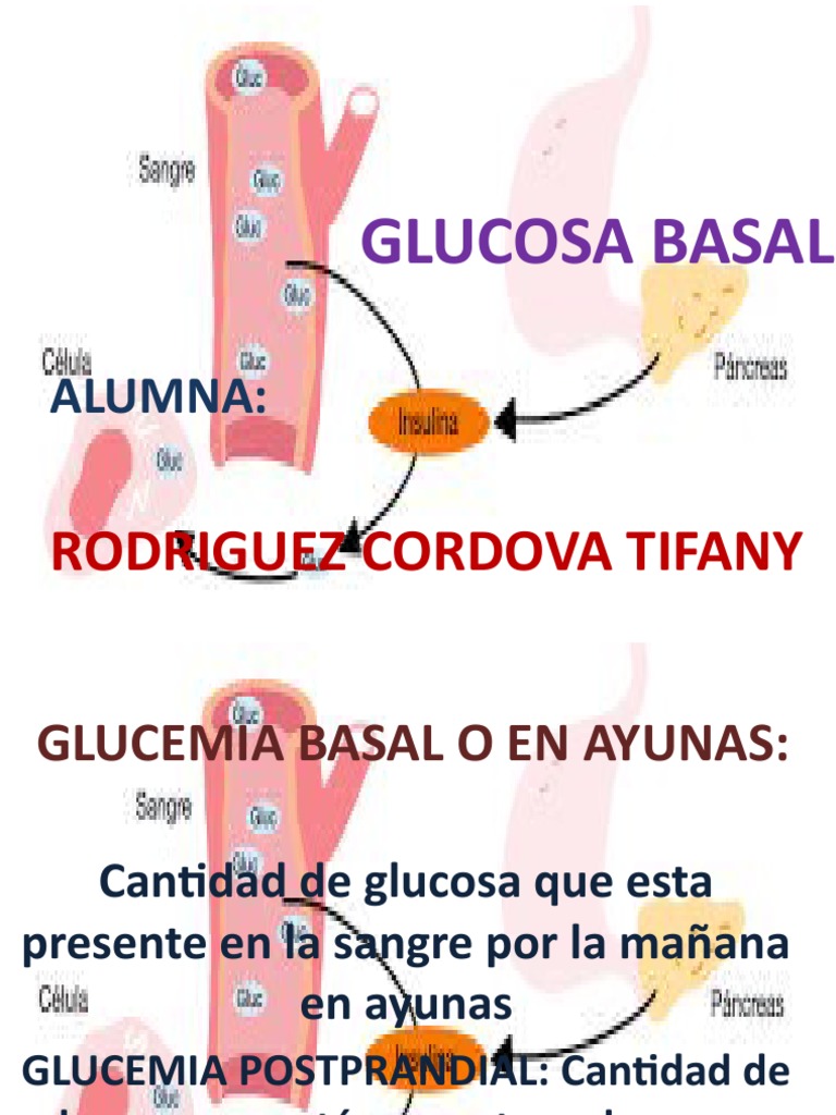 Glucosa 123 • Glucemia Basal – Interpretación de la Glucosa Basal en tu ...