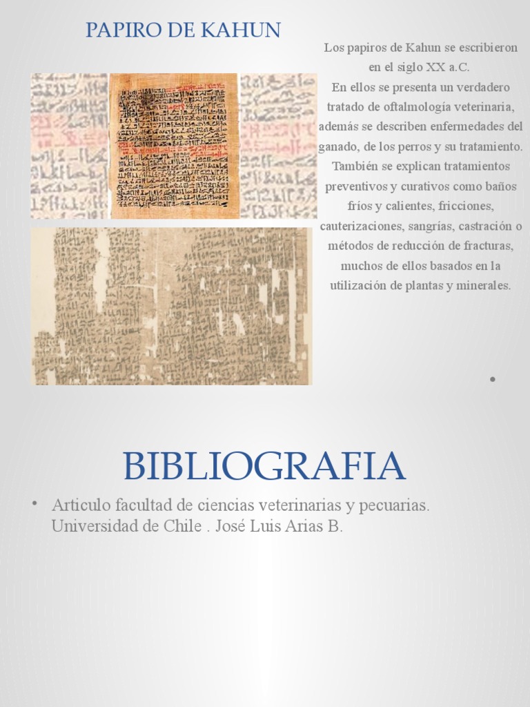 Papiro de Kahun | PDF