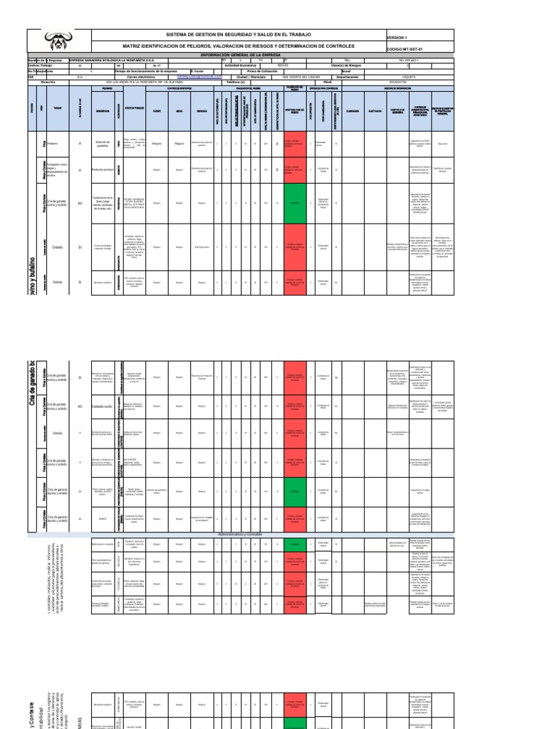 Matriz de Identificacion de Peligro | PDF | Estrés (biología) | Factores humanos y ergonomía