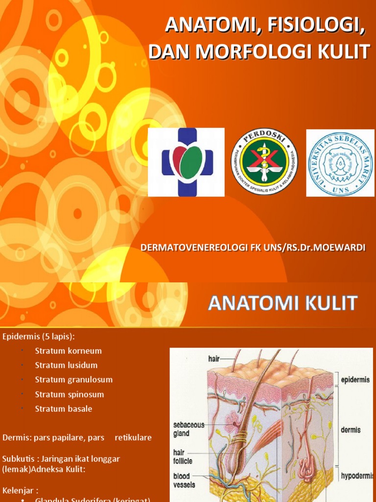 Anatomi, Fisiologi Dan Morfologi Kulit-1 | PDF