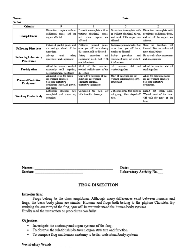 Frog Dissection Worksheet Pdf