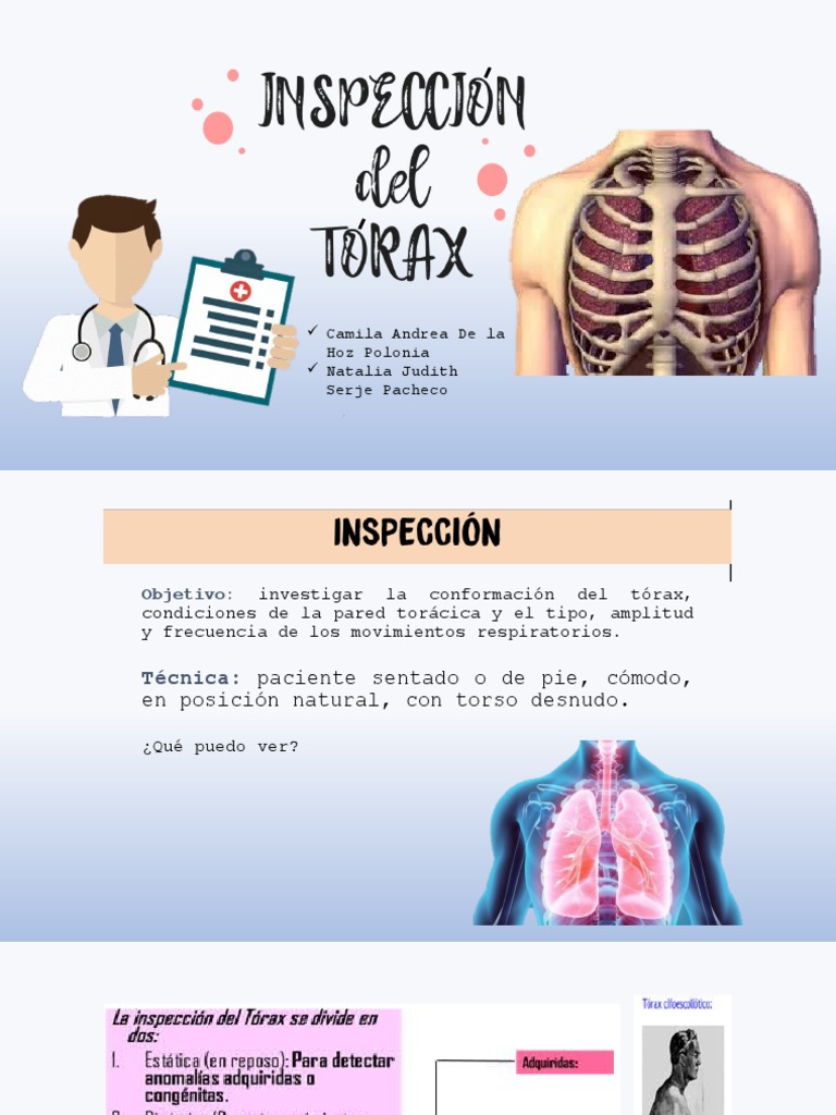 Inspección Del Tórax | PDF | Tórax | Sistema respiratorio