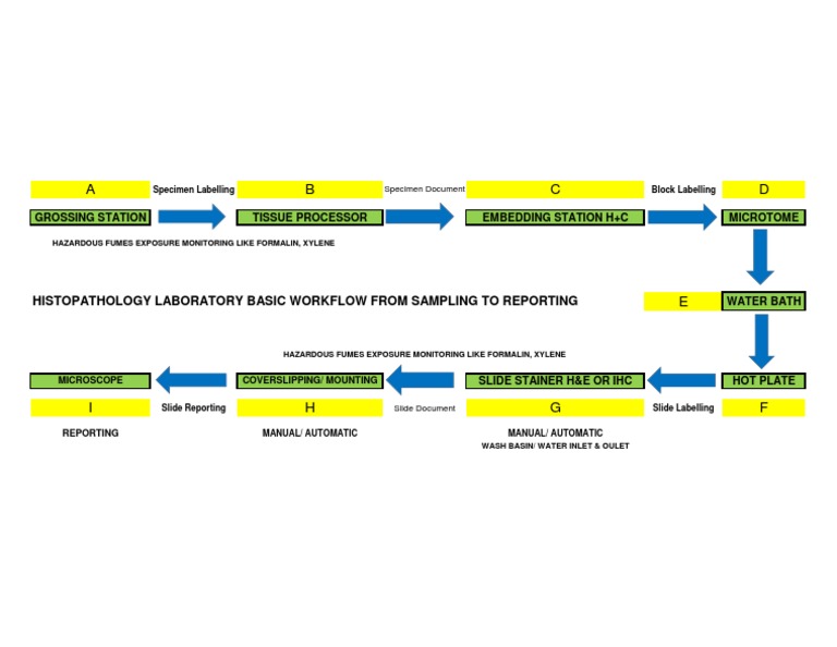 Histopathology Workflow Laboratory Setup Diagram Lab Design PDF | PDF