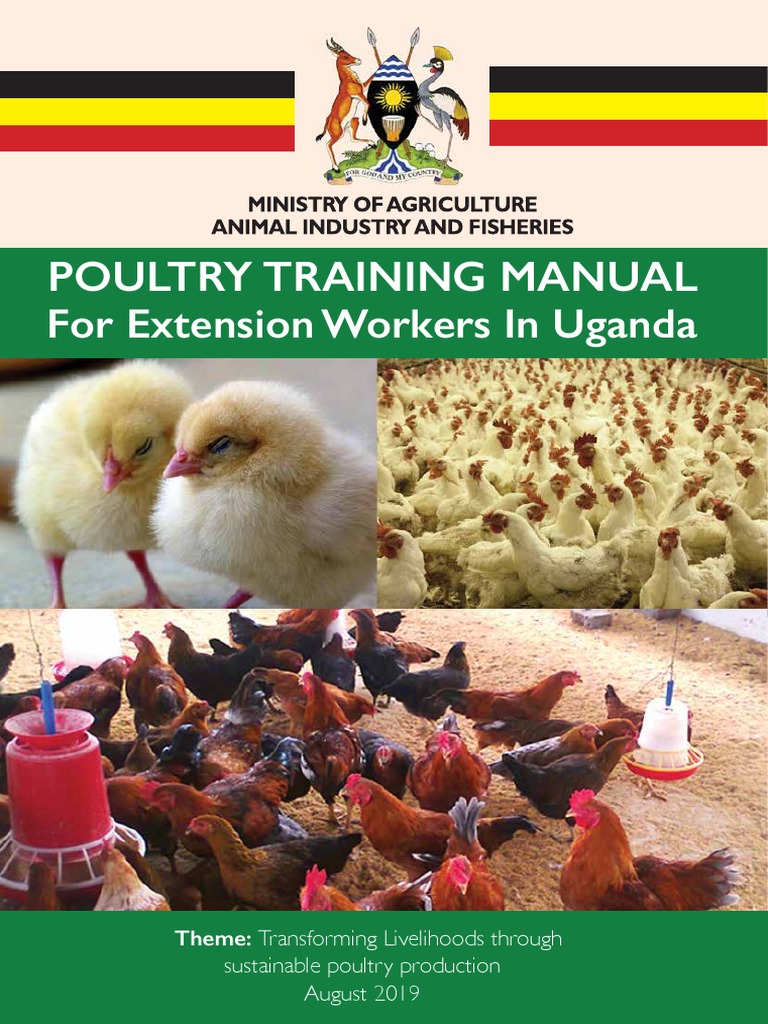 MAAIF Poultry Manual | PDF | Broiler | Poultry Farming