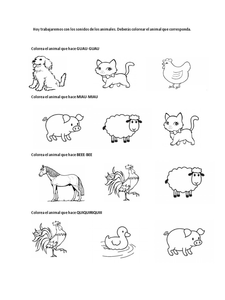 Sonidos de Los Animales | PDF