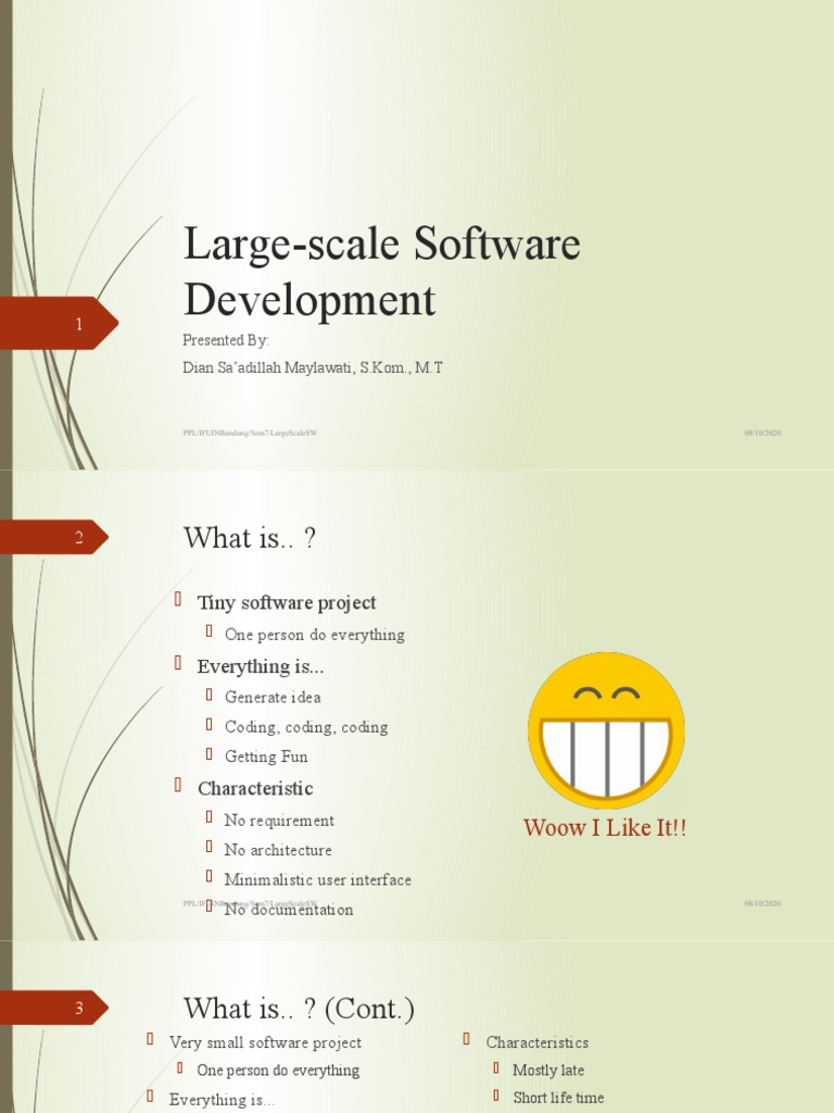 1 - Large-Scale Software Development | PDF | Programmer | Software