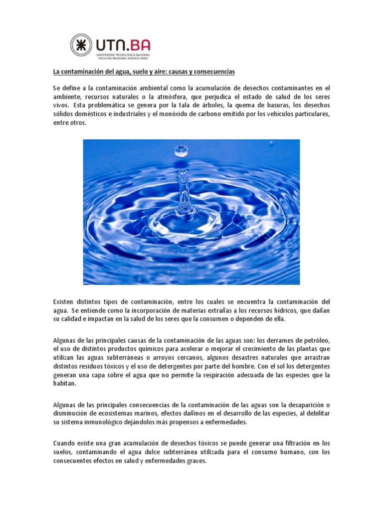 Causas y Consecuencias de la Contaminación Ambiental | PDF | La ...