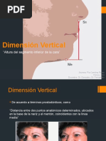 Dimension Vertical | PDF | Odontología | Boca