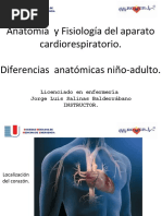 Protocolo Rush | PDF | Ultrasonido médico | Sistema cardiovascular