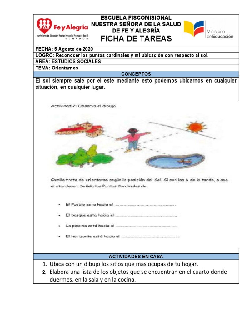 Actividades, Ciencias Tercero | PDF