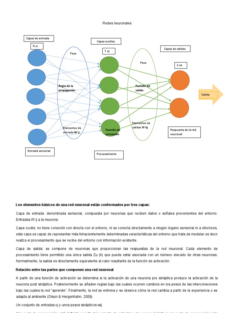 Redes Neuronales Actividad 7 | PDF | Neurona | Red neuronal artificial