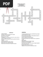 Sopa de Letras de Sistema Circulatorio | PDF