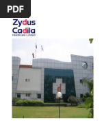 Zanasi: Low-Medium Speed Capsule Filling Machines | PDF | Tablet ...