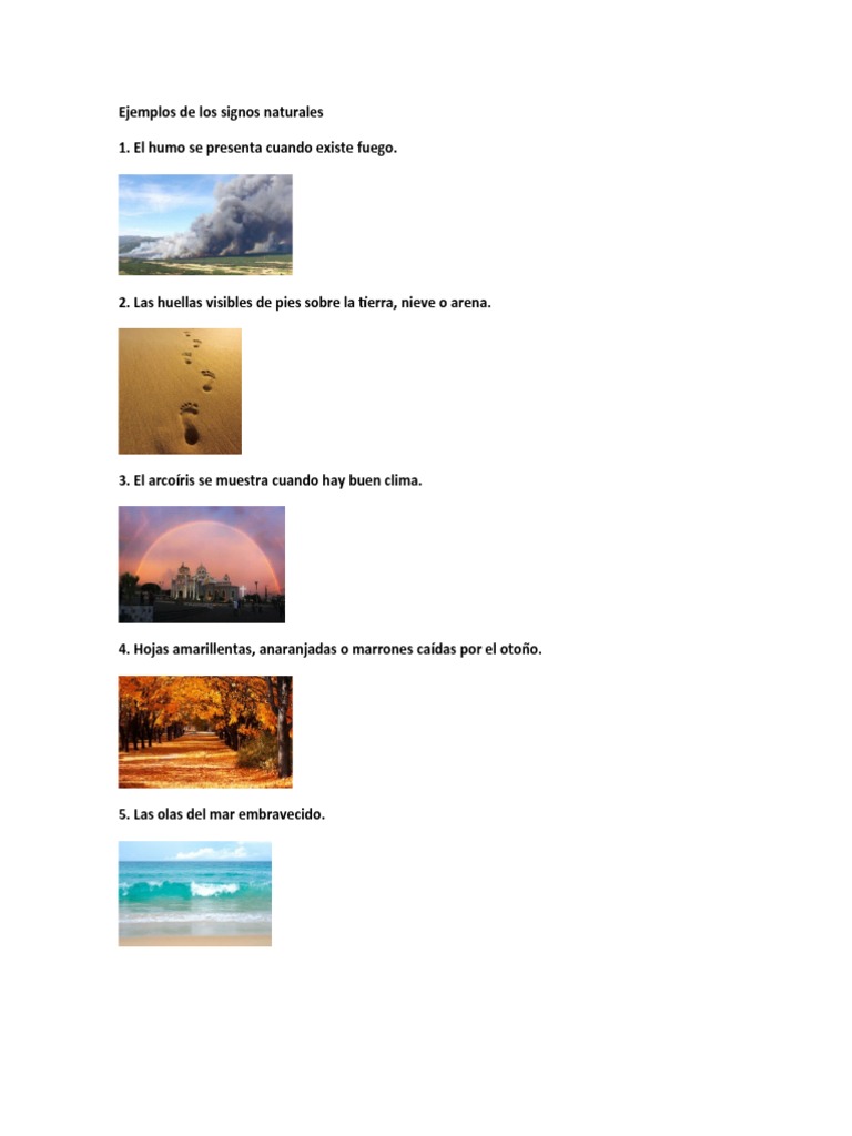 Ejemplos de Los Signos Naturales | PDF
