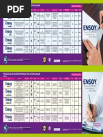 Ficha Técnica Enbrace Standard 500 ML | PDF | Petróleo | Lípido