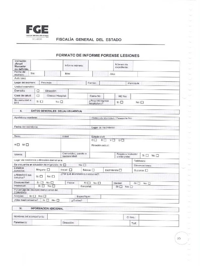 Formato de Informe Forense Lesiones PDF | PDF