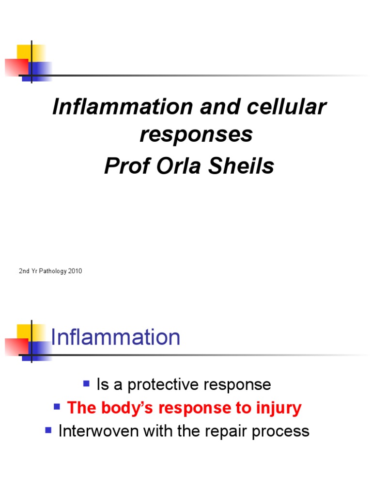 Inflammation and Cellular Responses Prof Orla Sheils: 2nd Yr Pathology ...