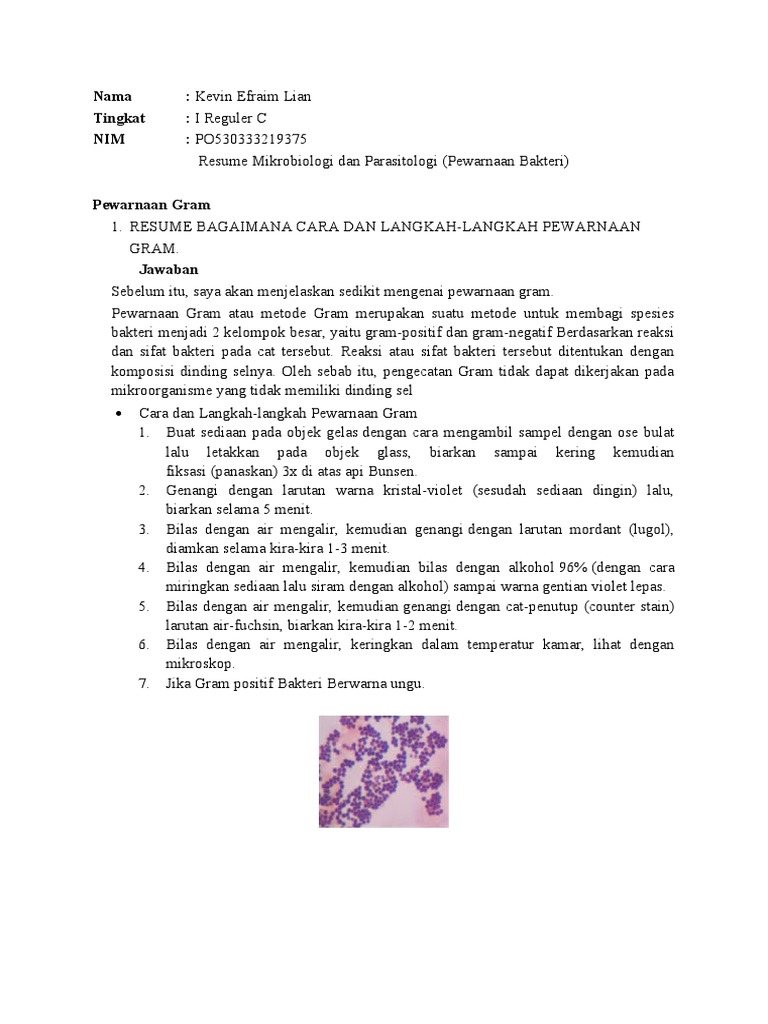 Metode dan Langkah-Langkah Pewarnaan Gram Bakteri | PDF
