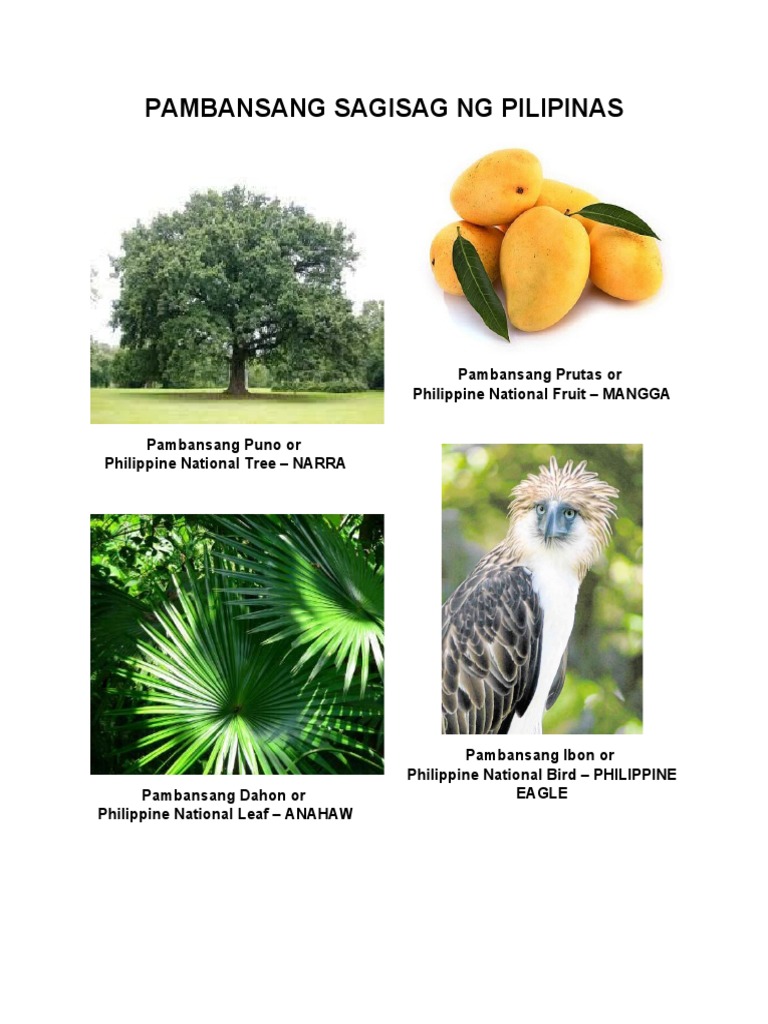 Pambansang Laro Ng Pilipinas