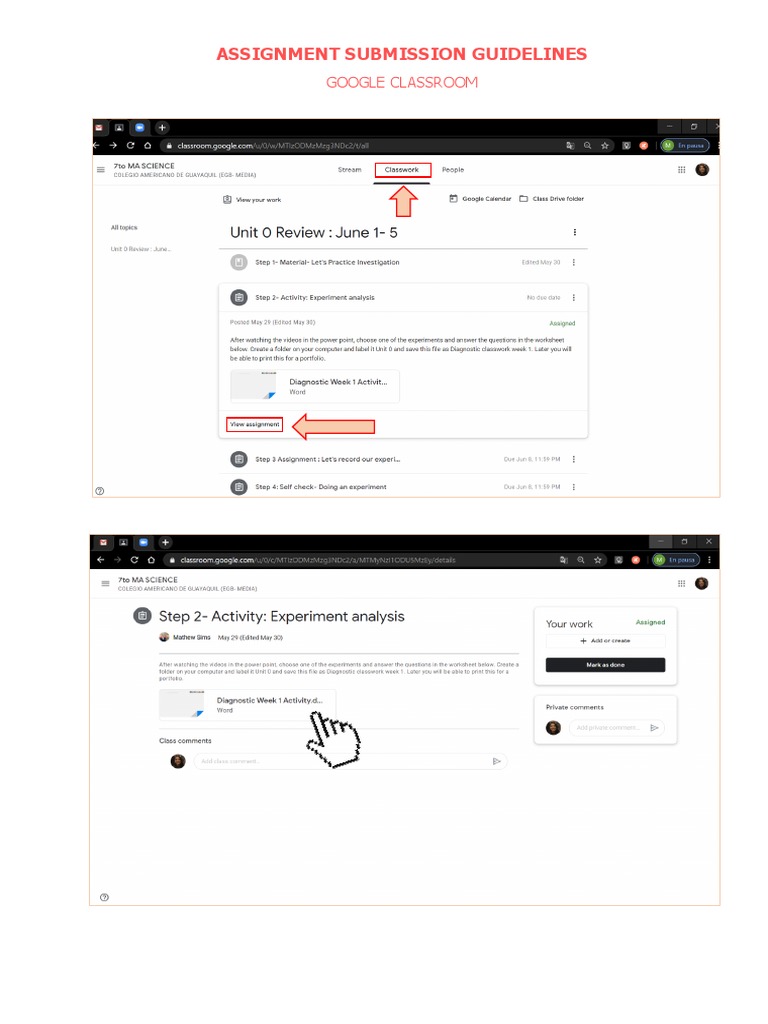 Assignment Submission Guidelines | PDF