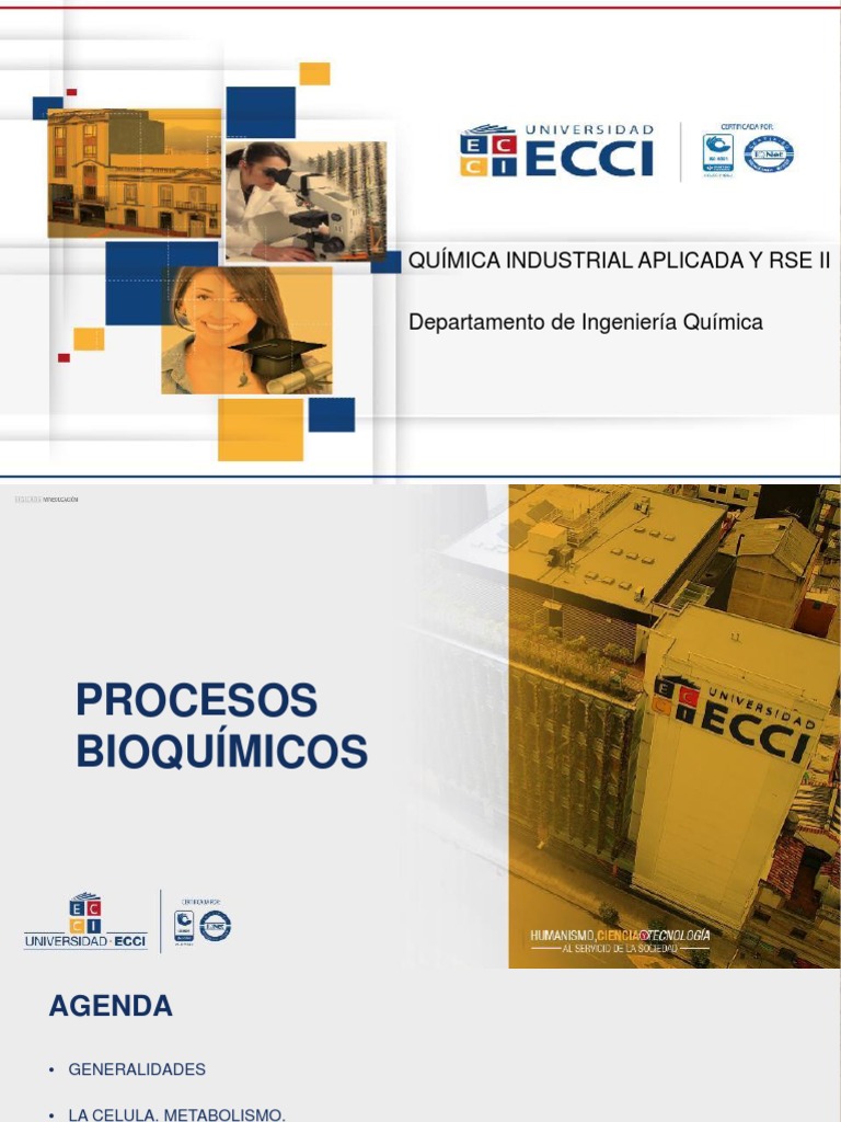 Procesos Bioquímicos PDF | PDF | Enzima | Citoplasma