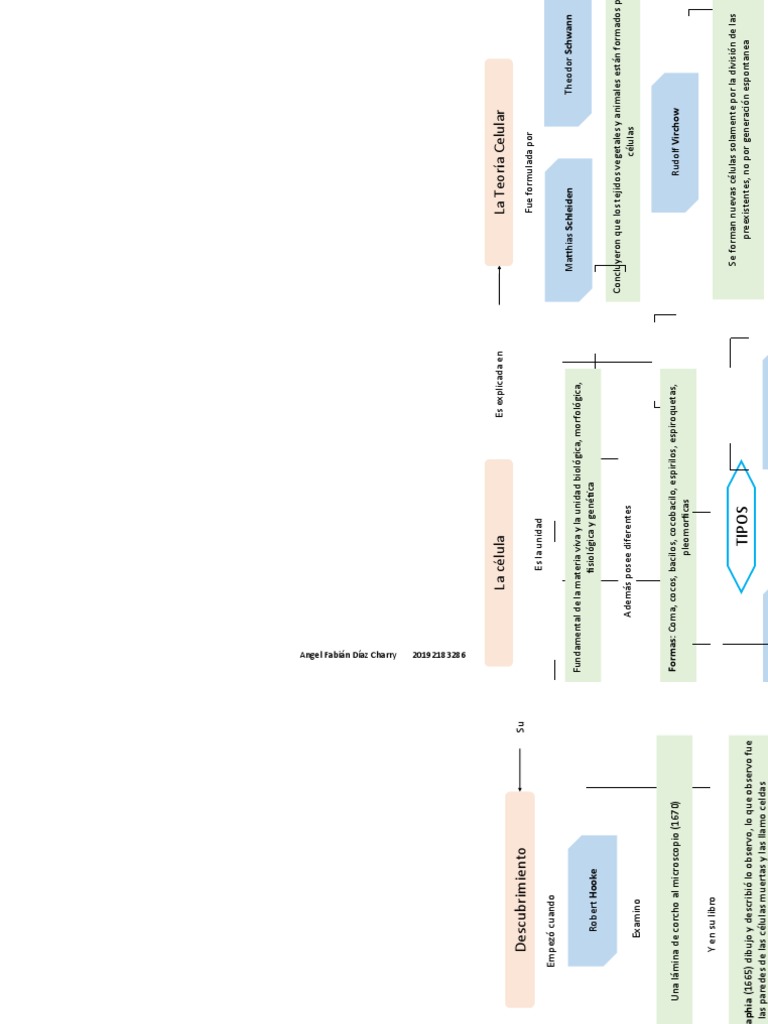Mapa Conceptual Celula | PDF