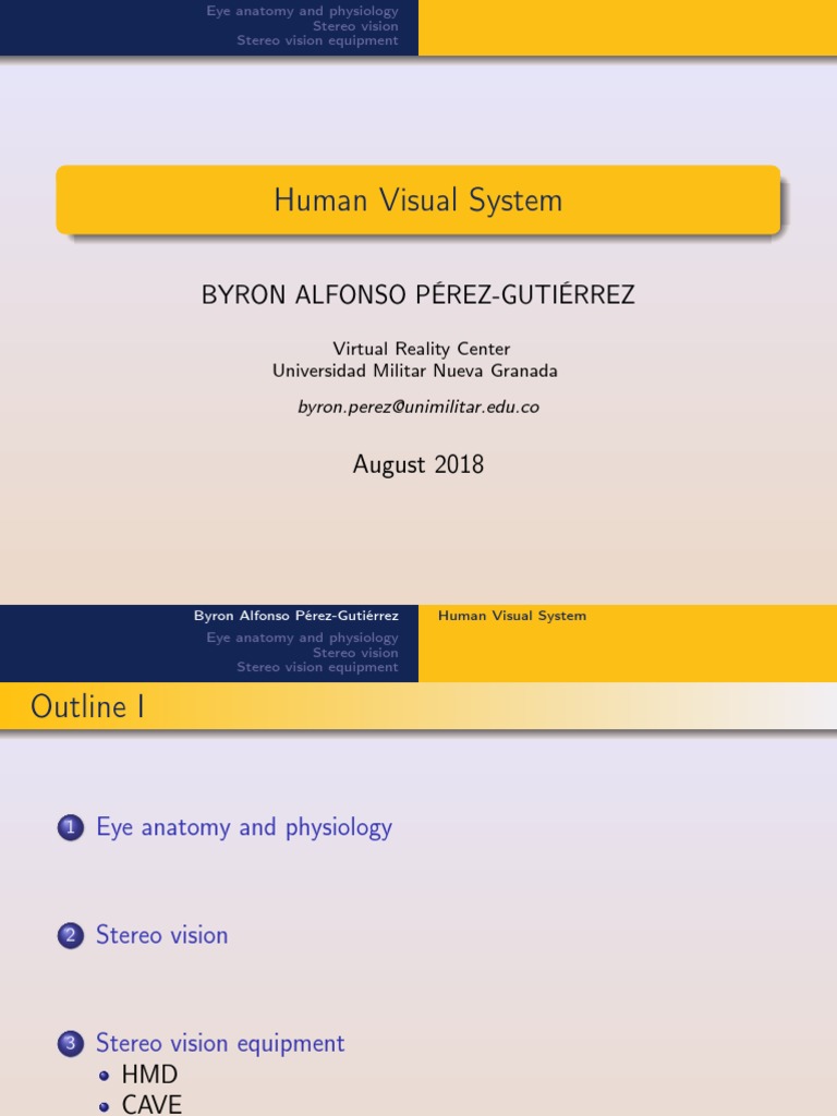 03-Human-Visual-System Complete | PDF | Stereoscopy | Visual Perception