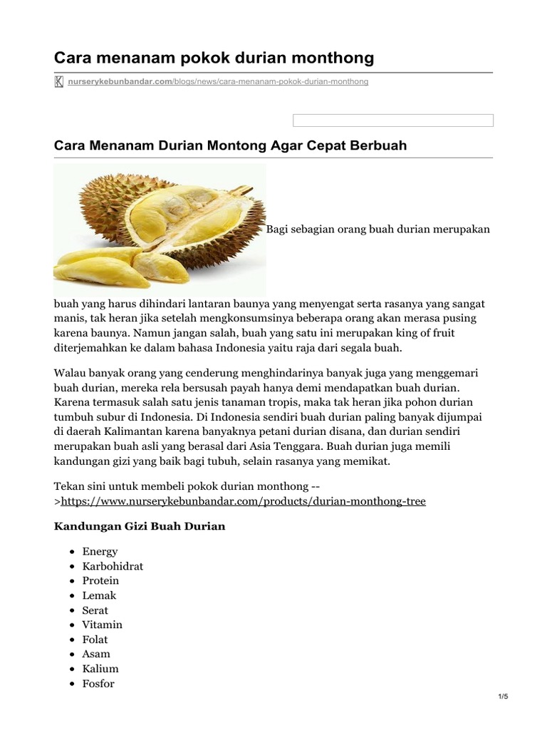 Cara Menanam Pokok Durian | PDF