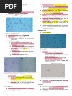 Urine Microscopic Examination Guide | PDF | Clinical Medicine | Anatomy