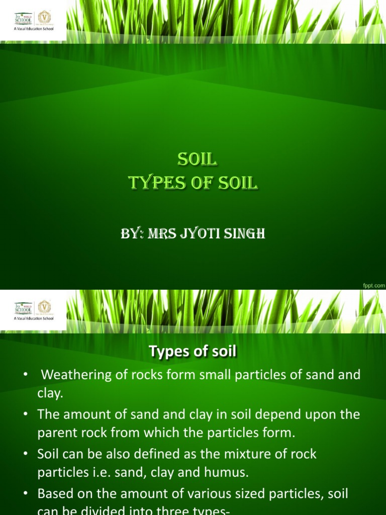 An Overview of the Three Main Types of Soil: Sandy Soil, Clayey Soil ...