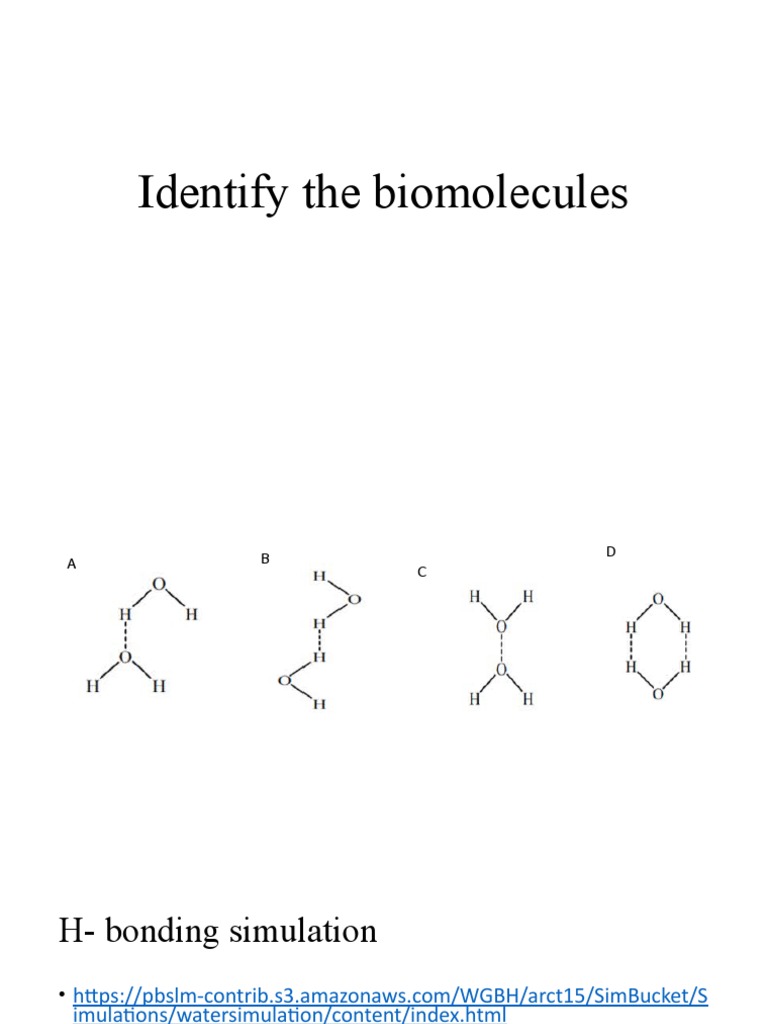 Identify The Biomolecules Activity | PDF