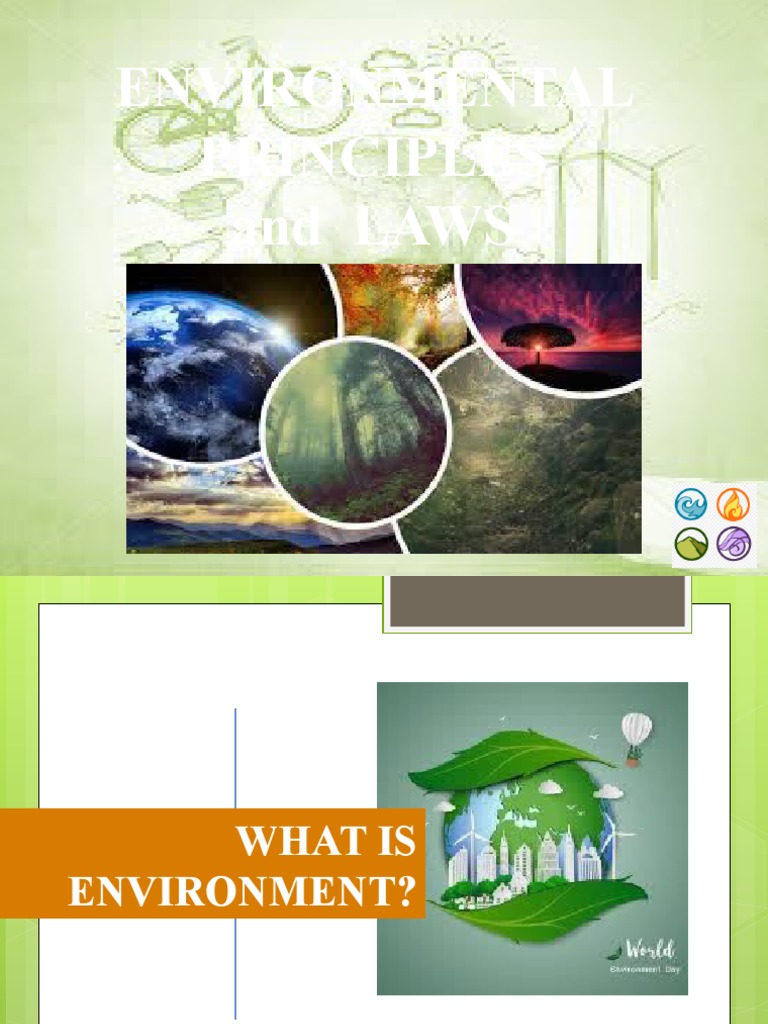 Seven Environmental Principles Explained | PDF | Natural Environment | Life