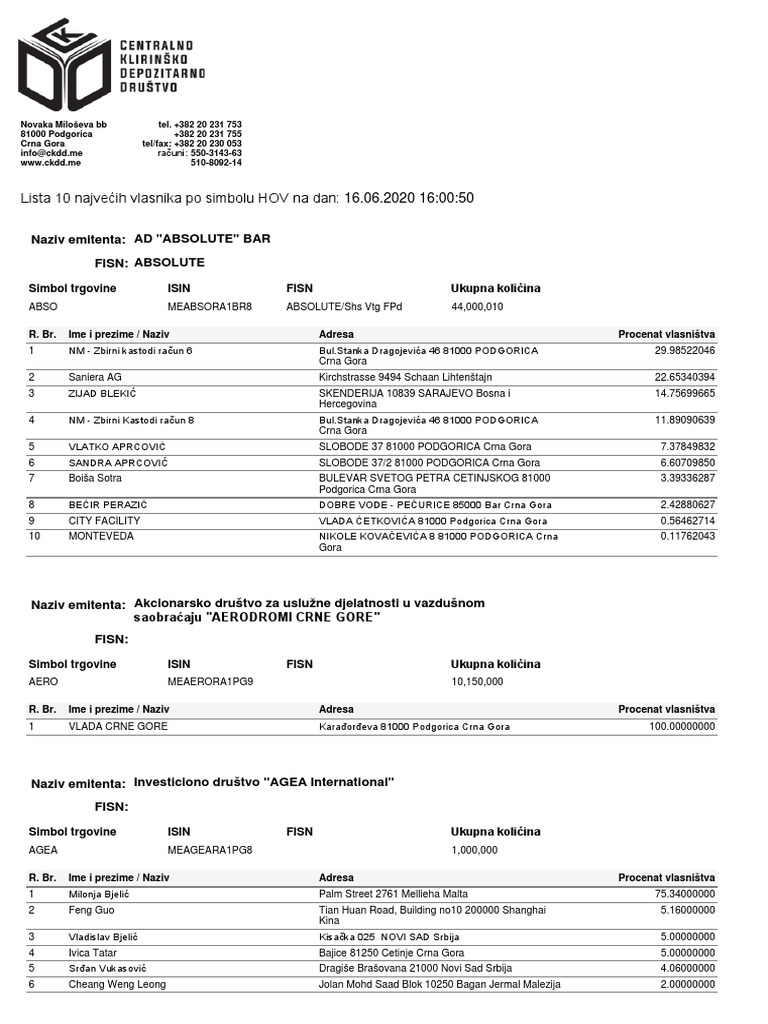 Ownership Structure of Absolute Bar | PDF