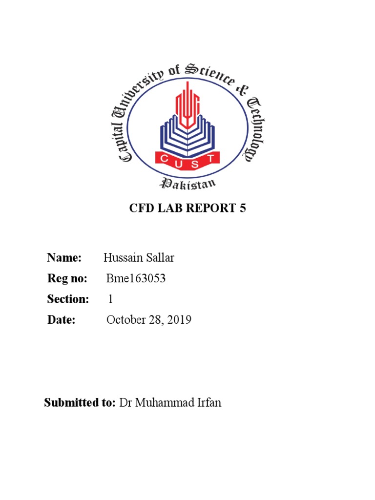 CFD Lab Report 5 | PDF