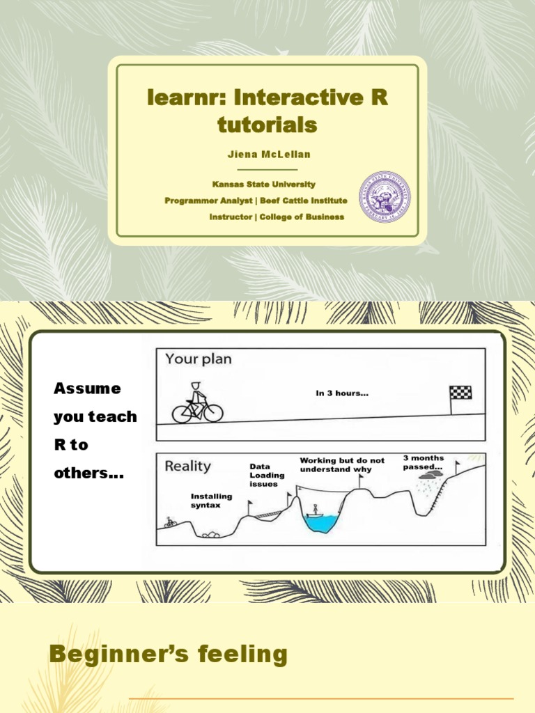 Learnr: Interactive R Tutorials: Jiena Mclellan | PDF