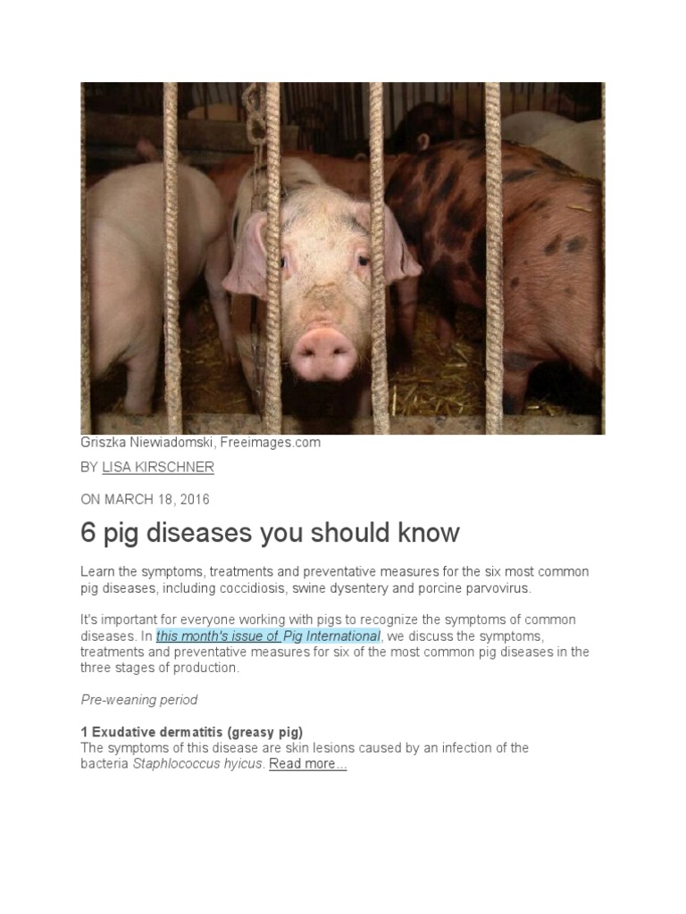Pig Diseases You Should Know | PDF