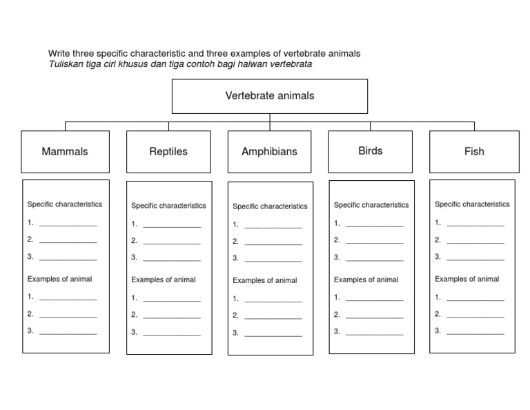 Vertebrate Animal Traits & Examples | PDF | Science & Mathematics