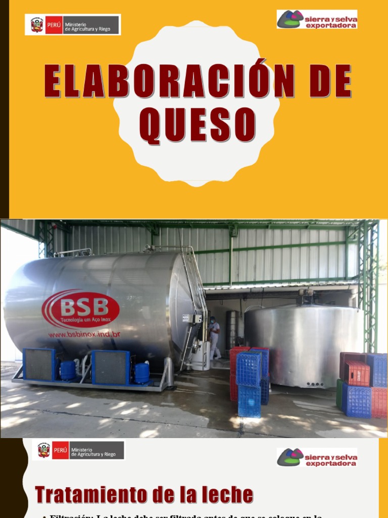 Procesos y parámetros para la elaboración de quesos | PDF | Queso | Leche