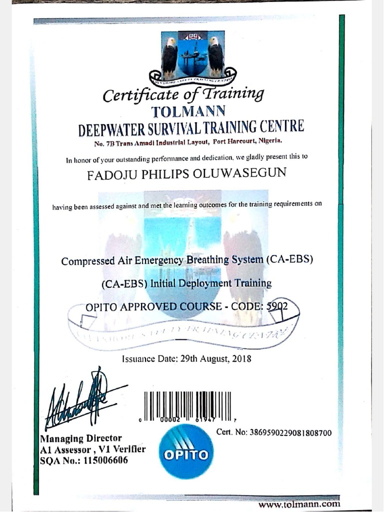 CA-EBS Certificate | PDF