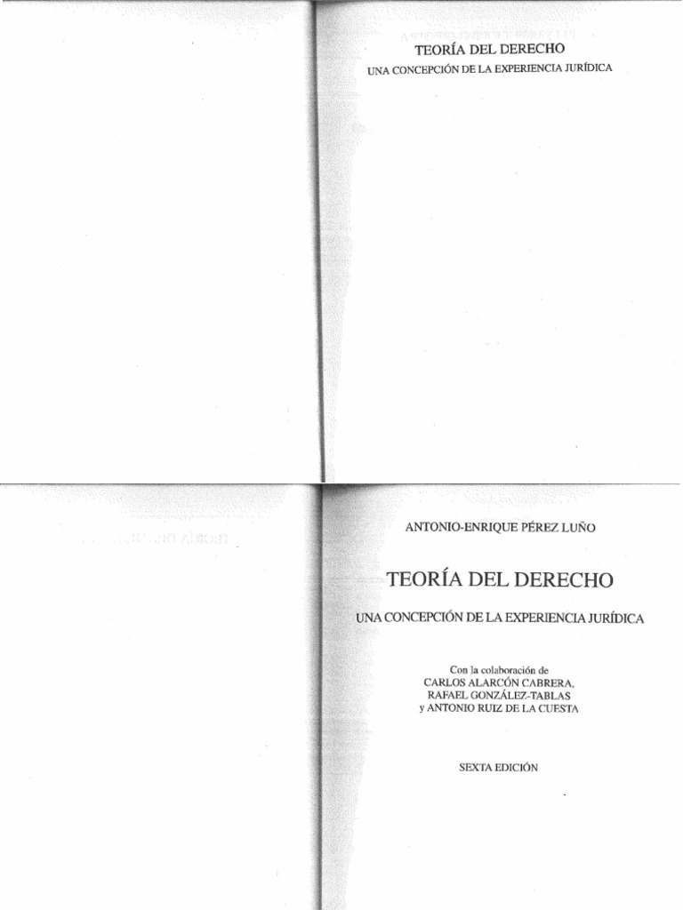 Teoria Del Derecho - Perez Luno PDF | PDF