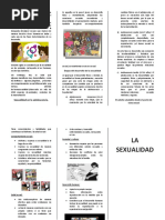 Triptico Sexualidad | PDF | La sexualidad humana | Pubertad