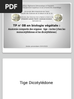 Cours 2-La Paroi Pectocellulosique PDF | PDF | Paroi cellulaire | Lignine