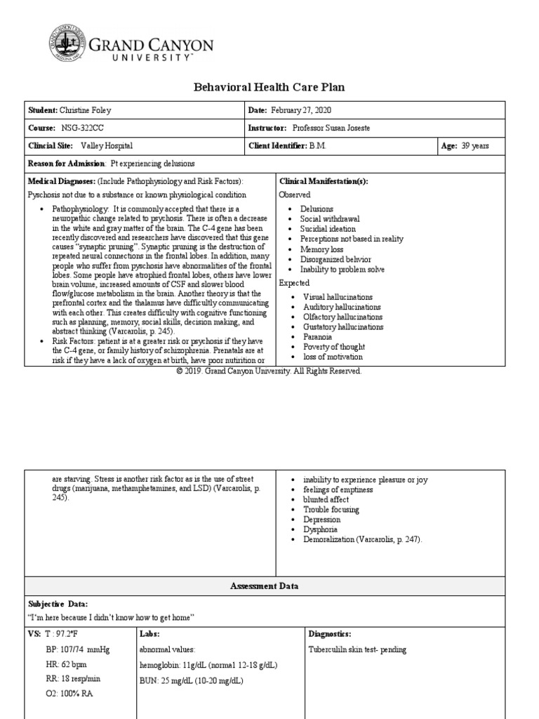 Behavioral Health Care Plan | PDF | Psychosis | Frontal Lobe