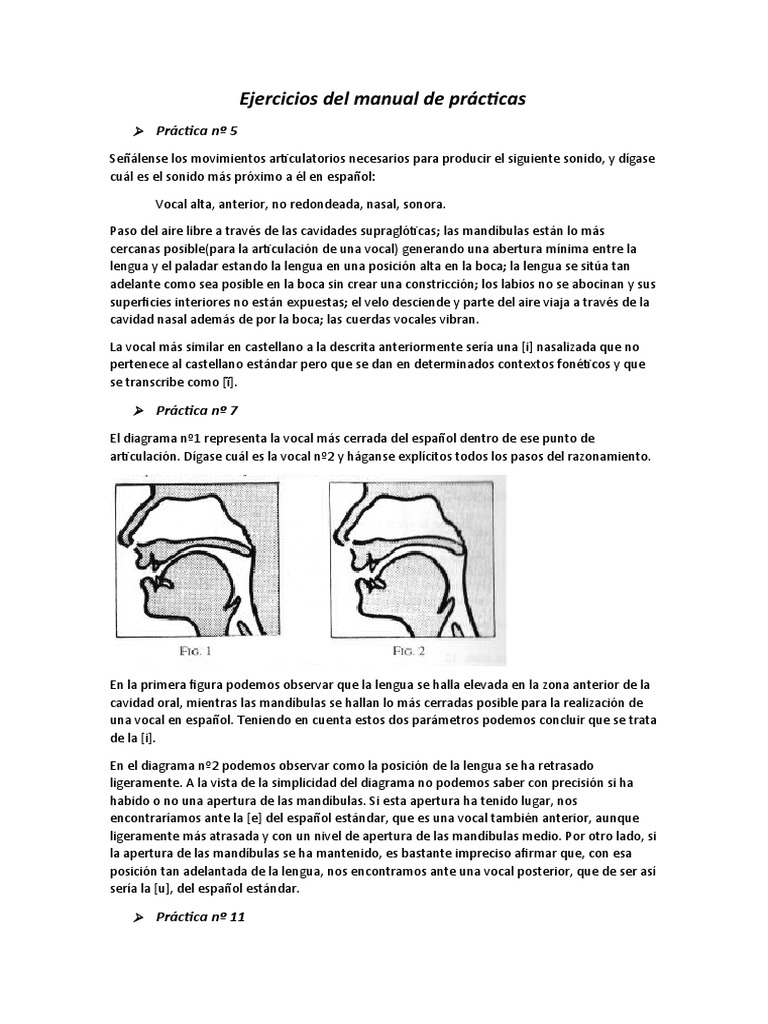 Prácticas de Fonética y Fonología | PDF | Vocal | Fonética