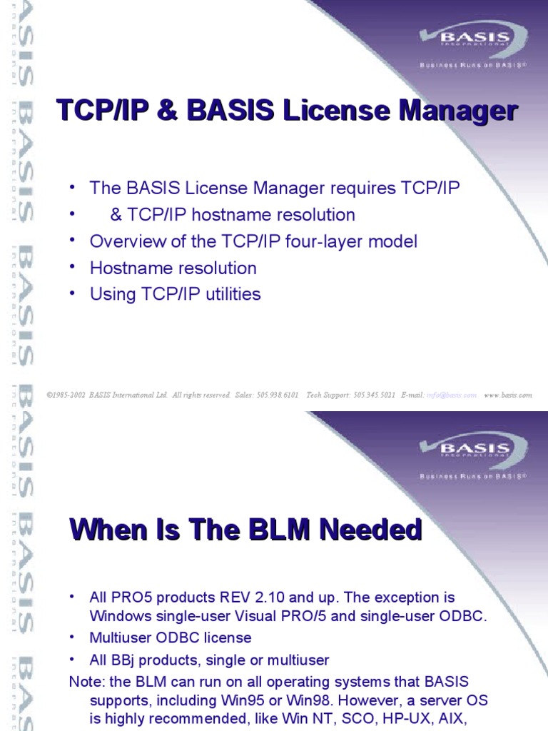 TCP/IP & BASIS License Manager | PDF | Domain Name System | Network Socket
