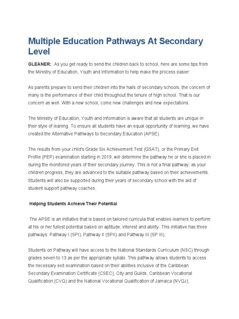 Multiple Education Pathways at Secondary Level | PDF | Vocational ...